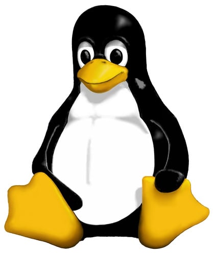 Linus Benedict Torvalds - Creator of Linux Operating System - History ...
