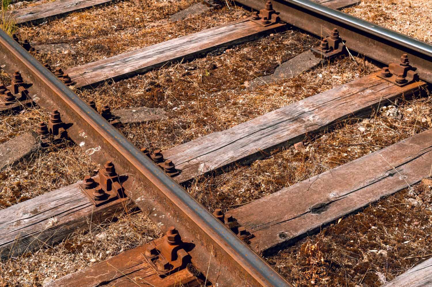 Culture Archives - History-Computer