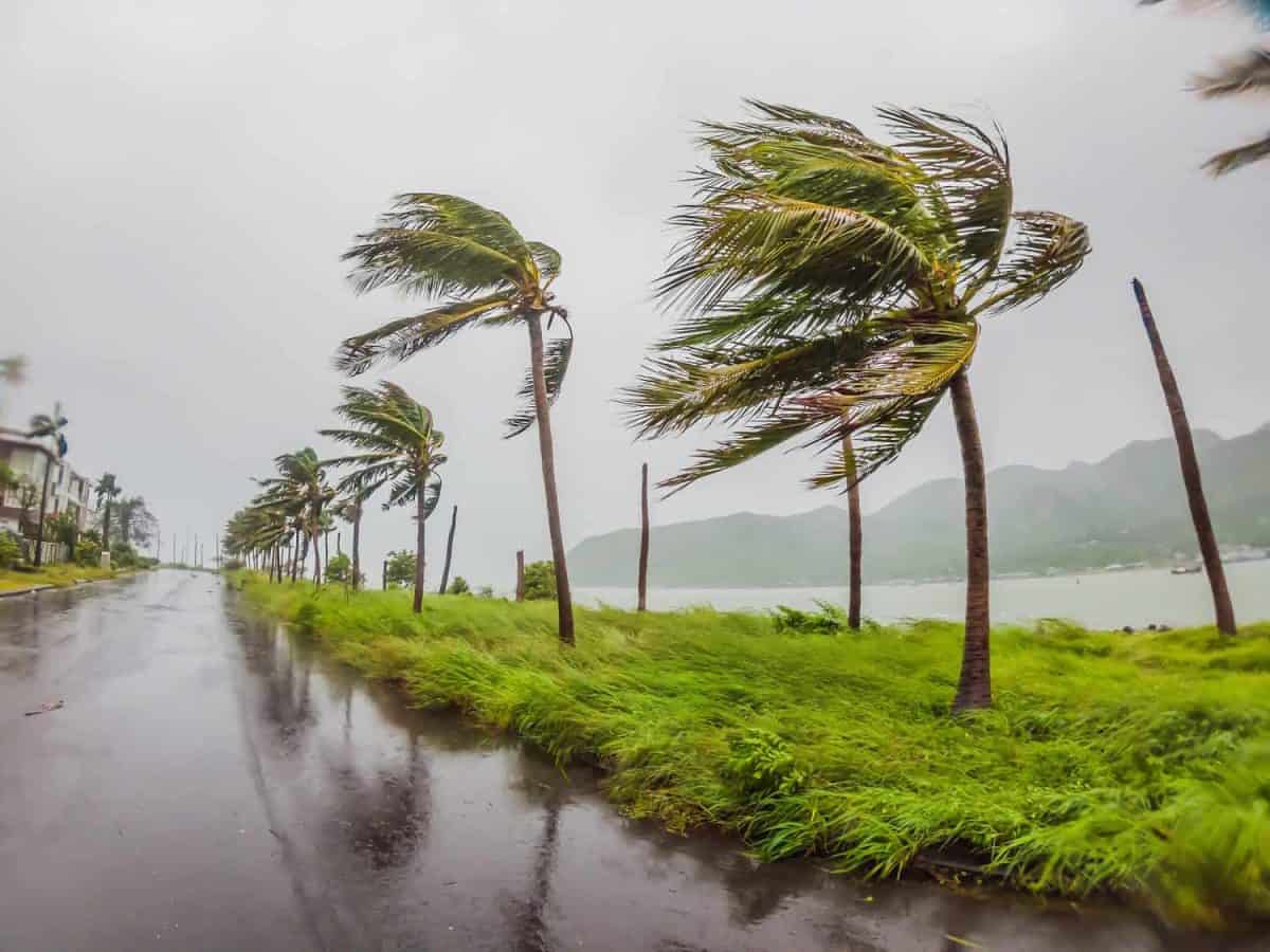 15 of the Deadliest Hurricanes, Cyclones, and Typhoons Ever Recorded ...